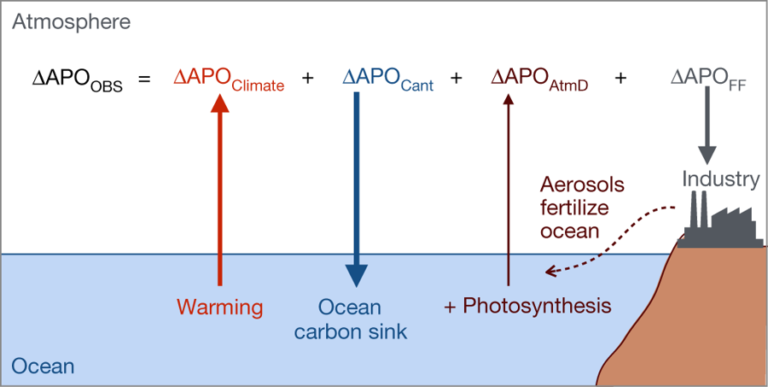How do we take the temperature of the oceans? | Sustainability Math
