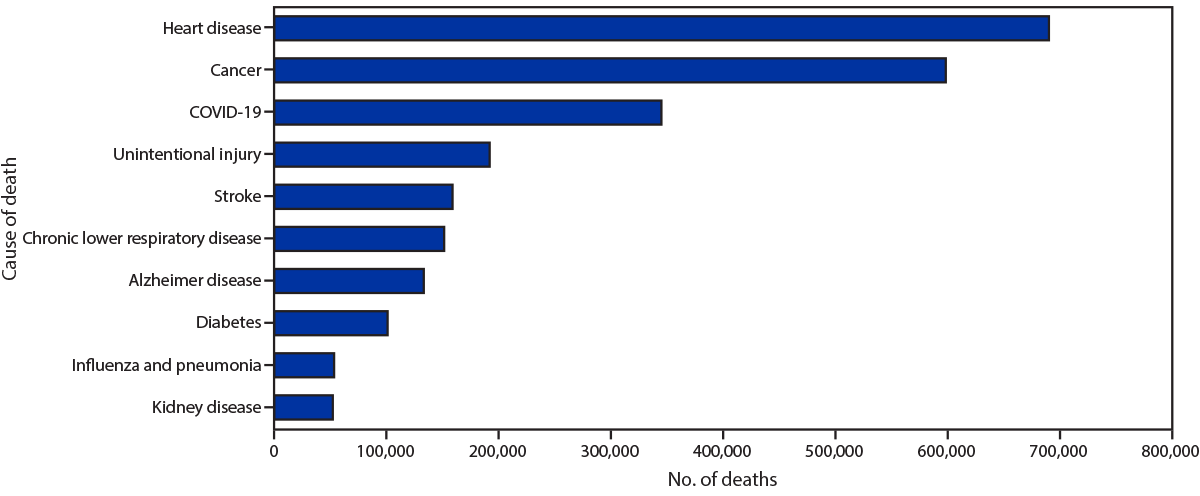 What were the leading causes of death in 2020? | Sustainability Math