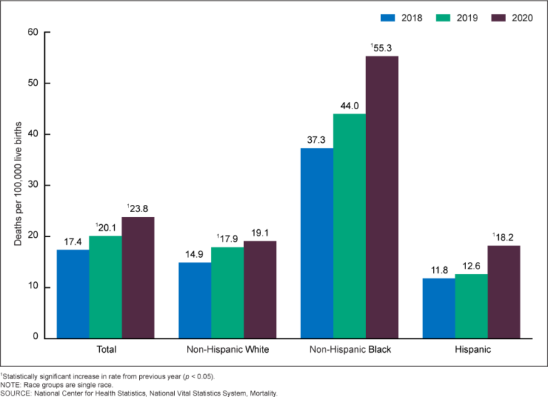 How has maternal mortality rates changed? | Sustainability Math