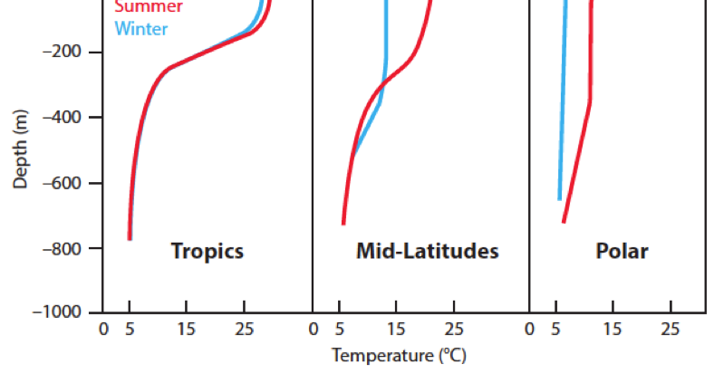 How can ocean temperature profiles connect to calculus ...